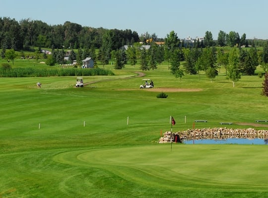 About ElleGolf - ElleGolf